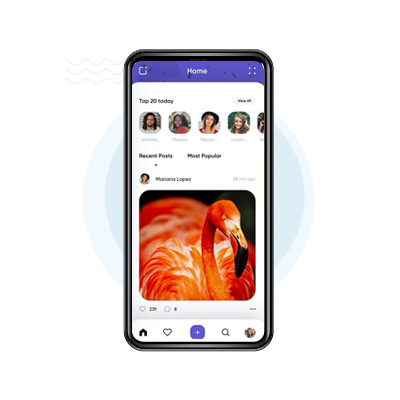 Social Media App Development | Social Networking App Development