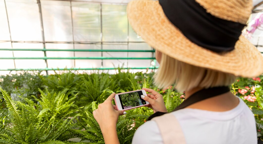 AgTech Software Development Company | AgTech Solutions in USA