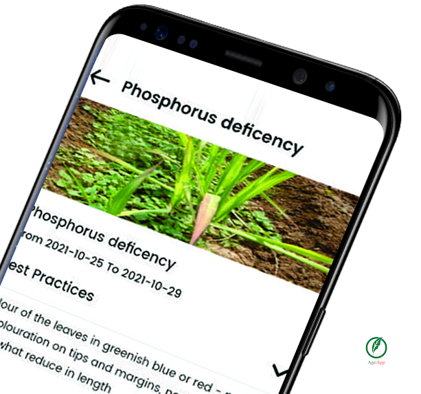 AgTech Software Development Company