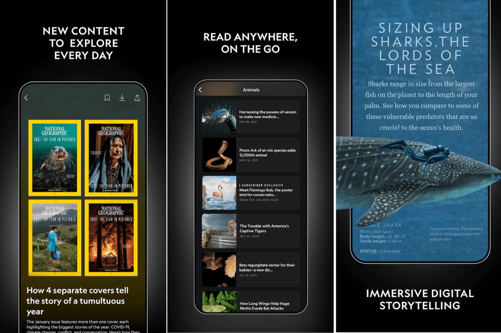 Steps To Build An App Like Discovery+