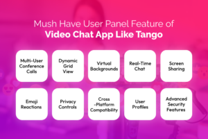Steps To Develop An App Like Tango: A Video Chat App In 2024